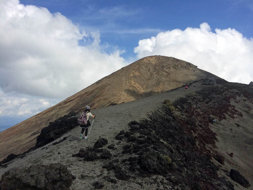 32902 | どんぐり自然学校・どんぐり幼児園